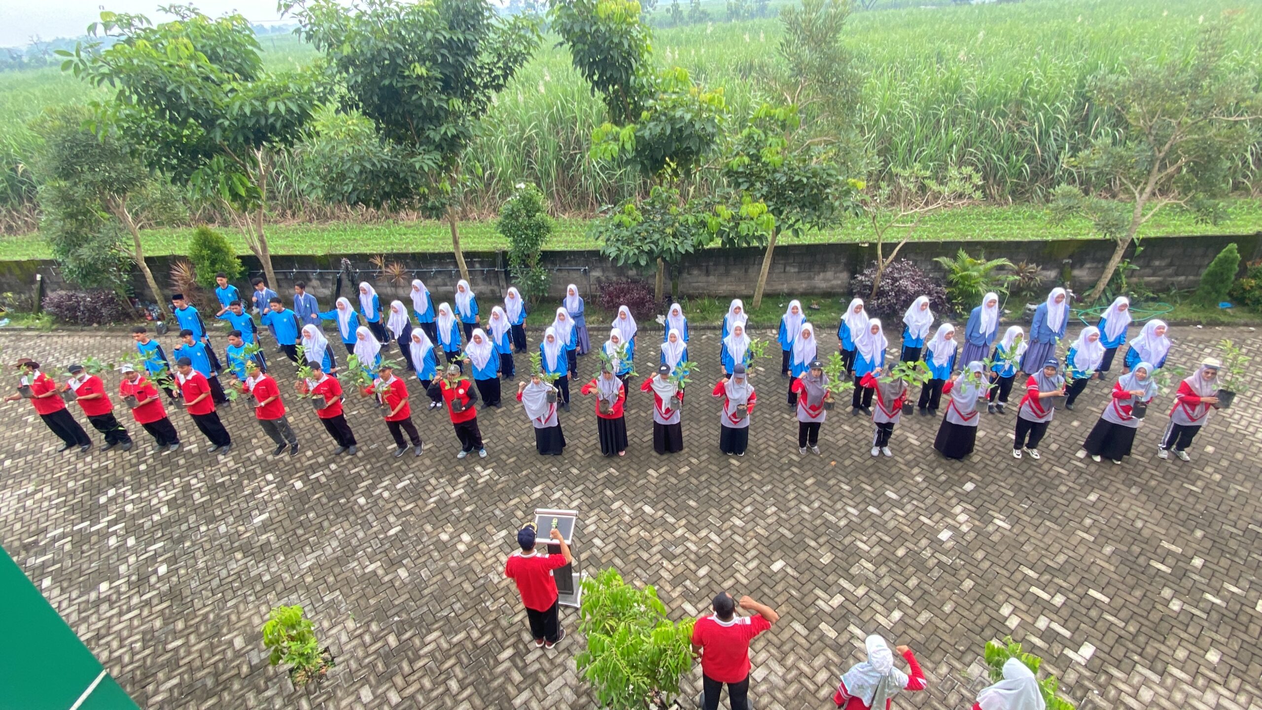 “Aksi Hijau Serentak: PPPK MAN 6 Jombang Tanam Sejuta Harapan Tumbuhkan Komitmen Melalui Menanam ...